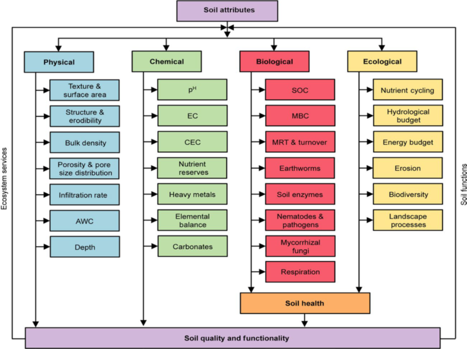 Soil Organic Carbon- an Explanation to Soil Health: a review – CHE